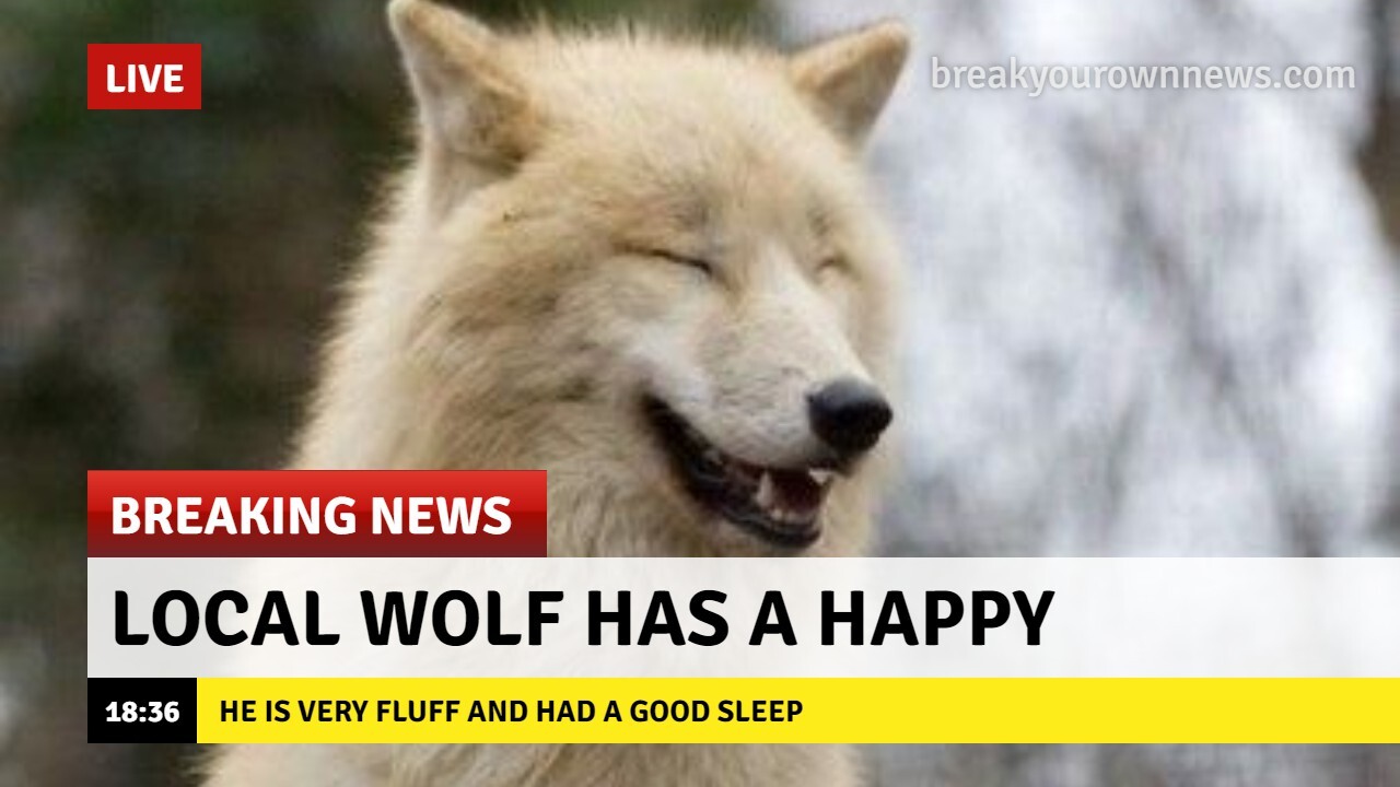 Kamots (@kamots@furry.engineer) - Furry.Engineer - Duct tape, hotfixes ...